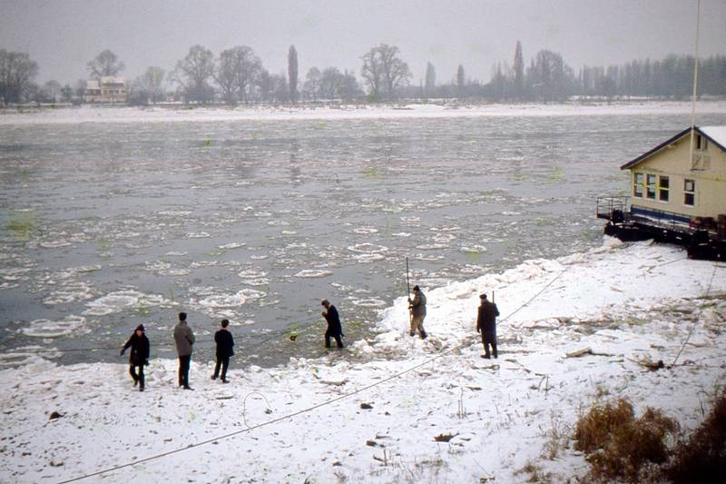 Treibeis auf dem Rhein - WDR Digit