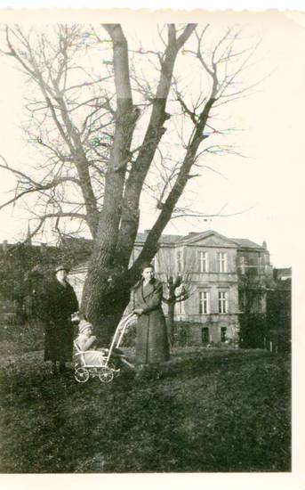 Plathe Pommern - WDR Digit