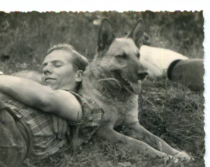 Eifler Schäferhund - WDR Digit
