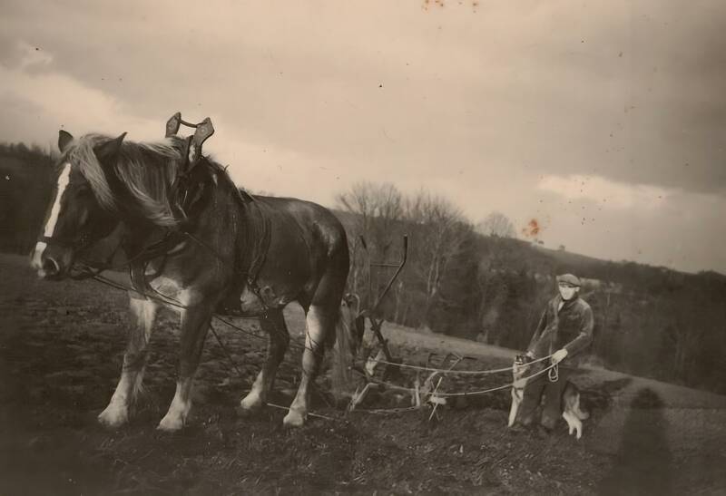 Landwirt Lohmar auf dem Acker - WDR Digit