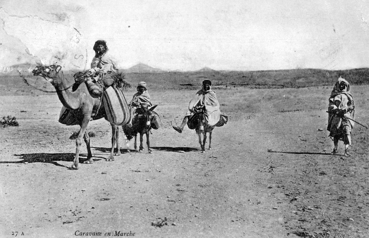 Karawane - WDR Digit