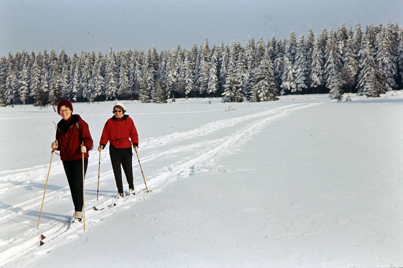 Ski-Loipe - WDR Digit