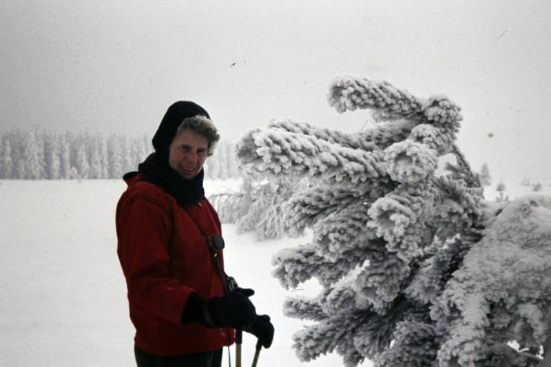 Schnee - WDR Digit