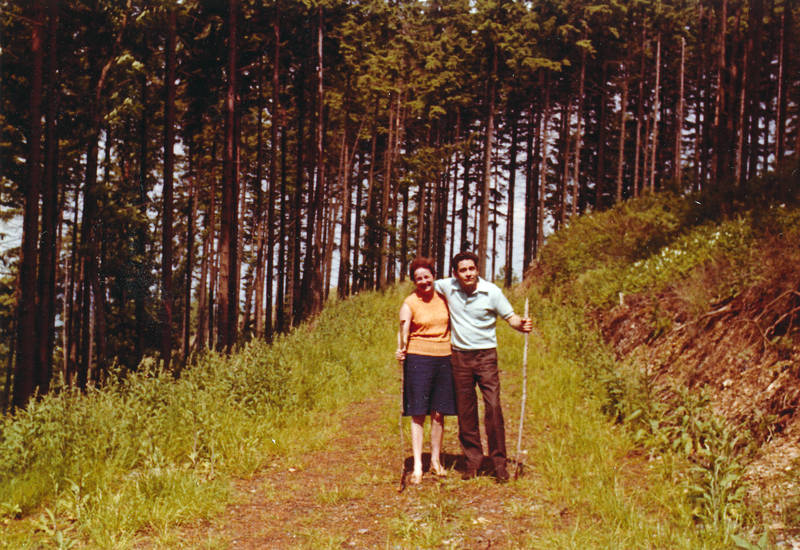 Waldspaziergang - WDR Digit