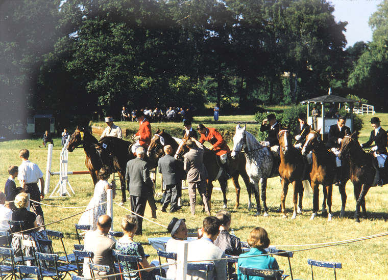 Reitturnier - WDR Digit