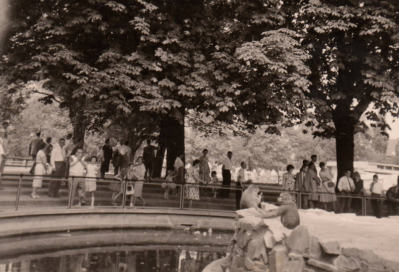 Im Kölner Zoo - WDR Digit