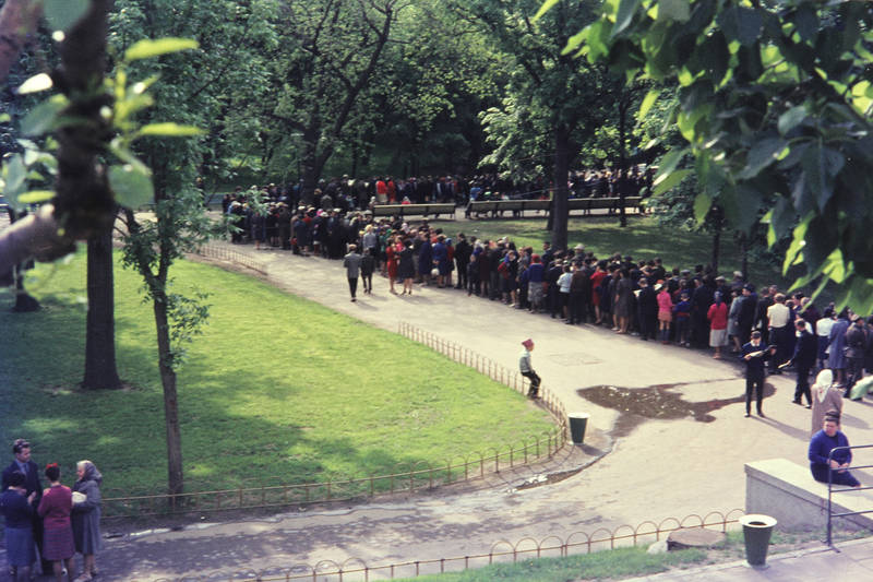 Schlange im Alexandergarten - WDR Digit