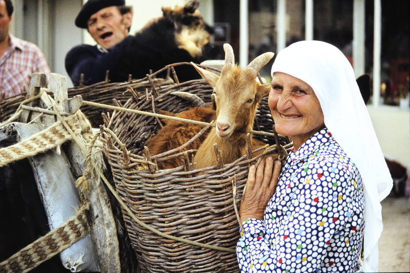 Ziege im Korb - WDR Digit