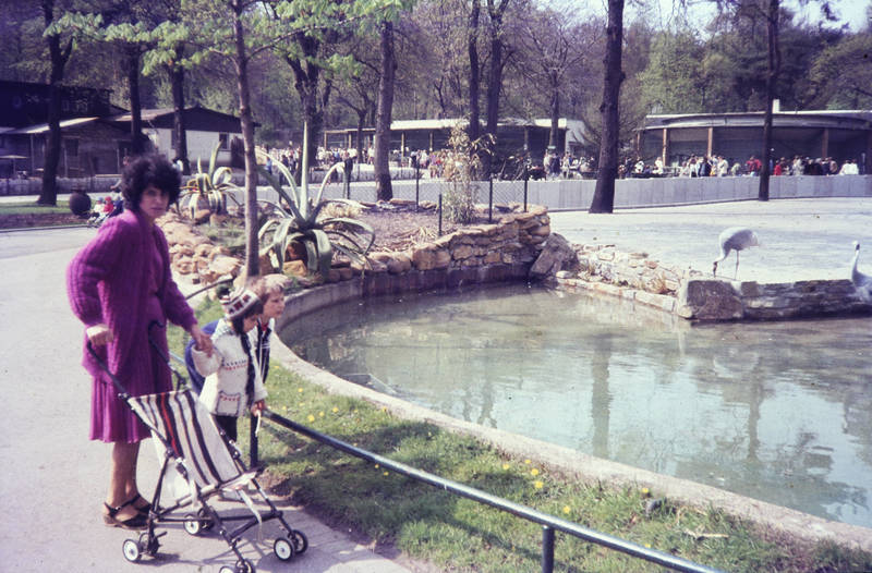 Familienausflug in den Zoo - WDR Digit