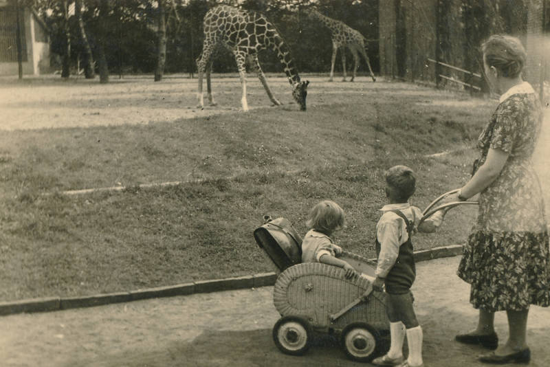 Zoobesuch - WDR Digit