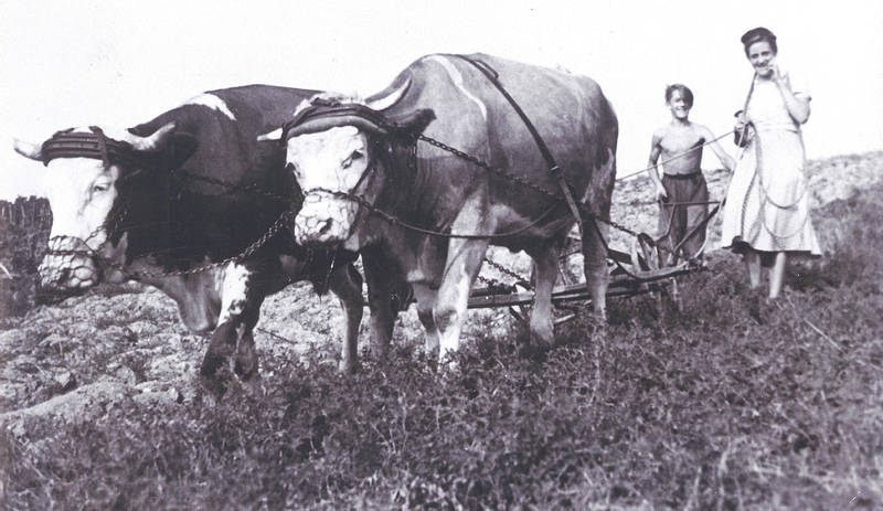 Feldarbeit - WDR Digit