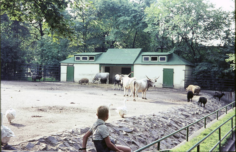 Tiere im Zoo - WDR Digit