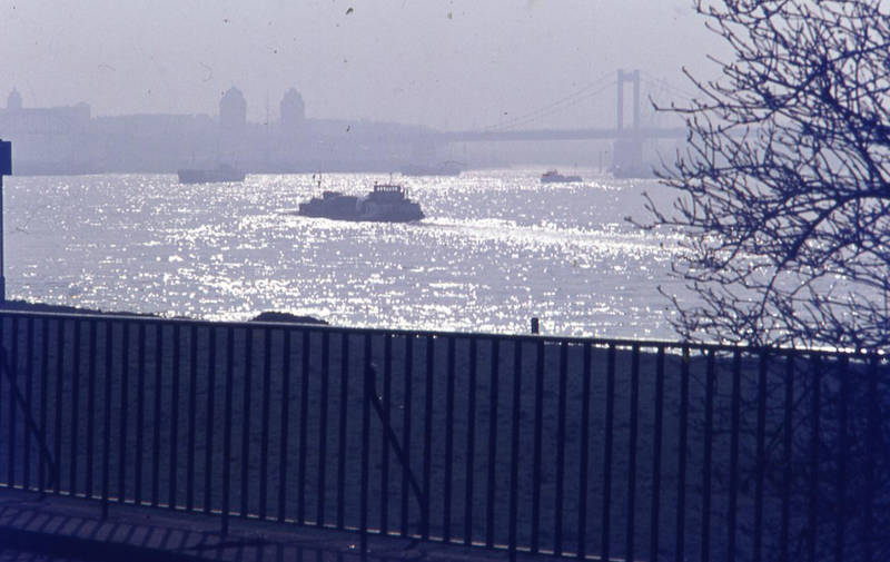 Rhein bei Duisburg Laar - WDR Digit