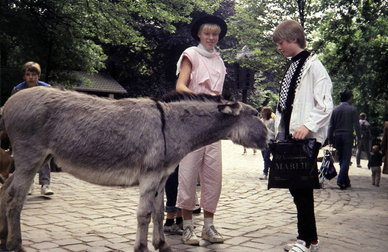 Esel und Mensch - WDR Digit