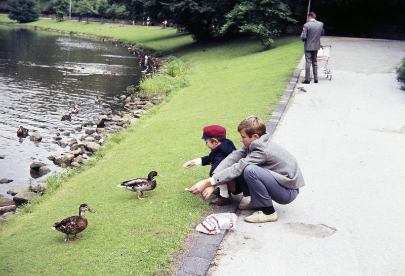 Enten- & Kinderpaar - WDR Digit