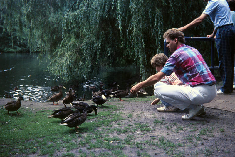 Entenfütterung - WDR Digit