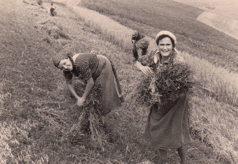 Feldarbeit ohne Maschinen - WDR Digit