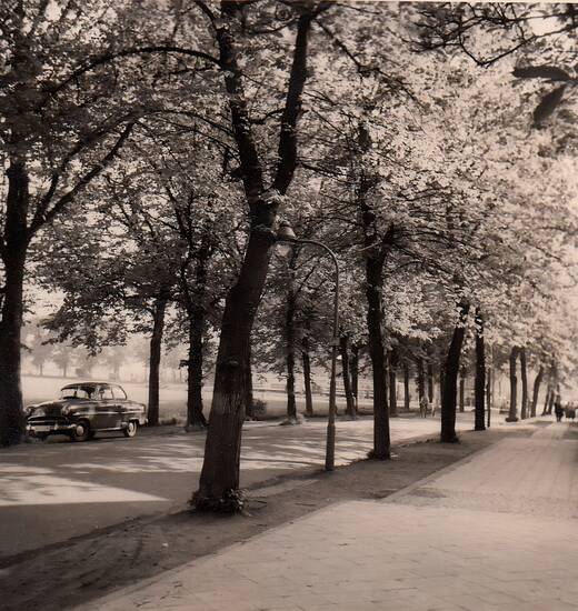 Auf dem Bürgersteig - WDR Digit