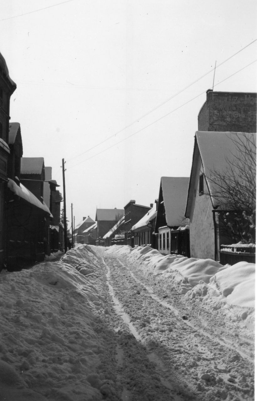 Winter im Warthegau - WDR Digit