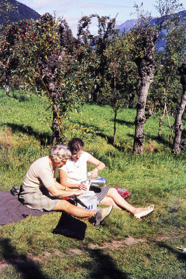 Obstpause - WDR Digit