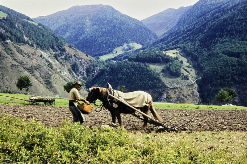 Auf dem Feld - WDR Digit