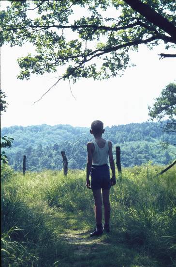 Am Waldrand - WDR Digit