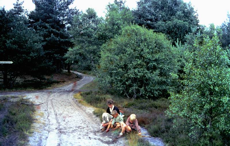 Waldwanderung - WDR Digit