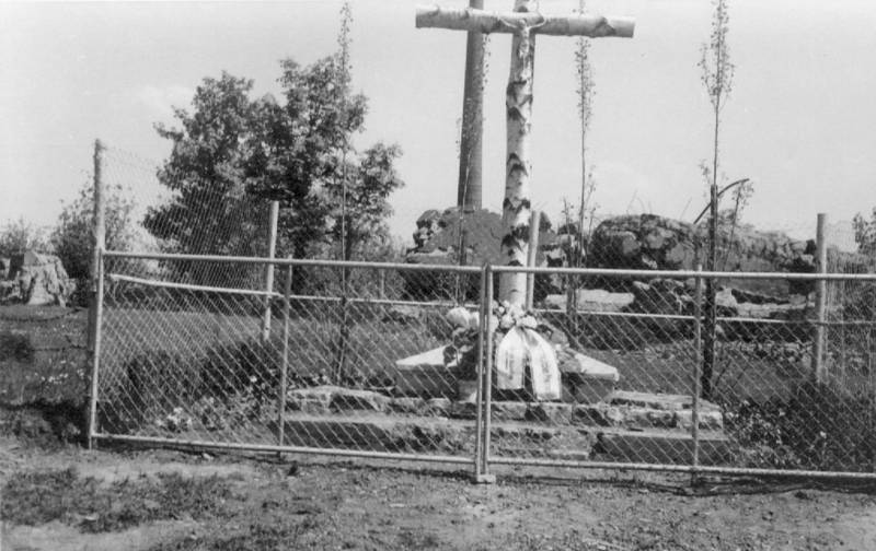 Birkenkreuz - WDR Digit