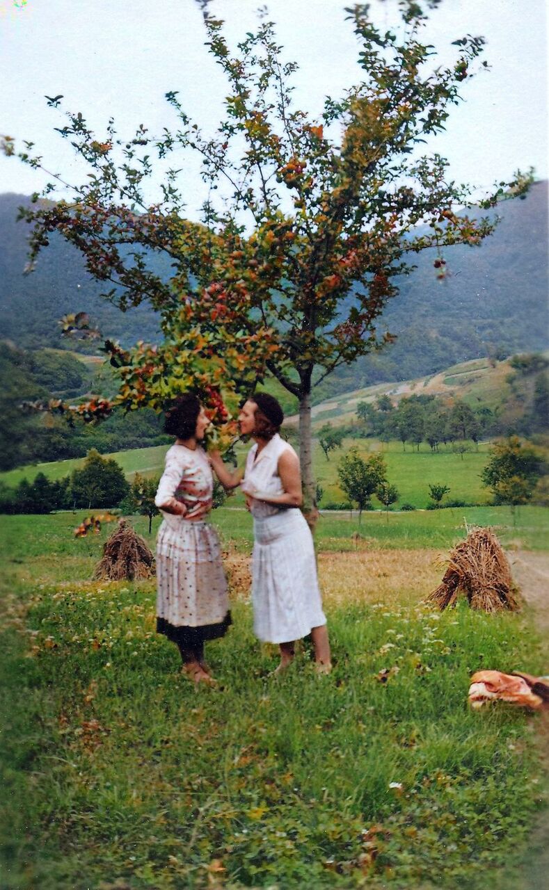 Unterm Apfelbaum - WDR Digit